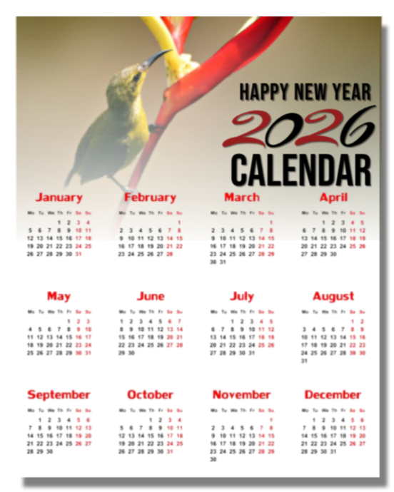 White Professional 2026 Calendar Template Instagram Portrait | PosterMyWall