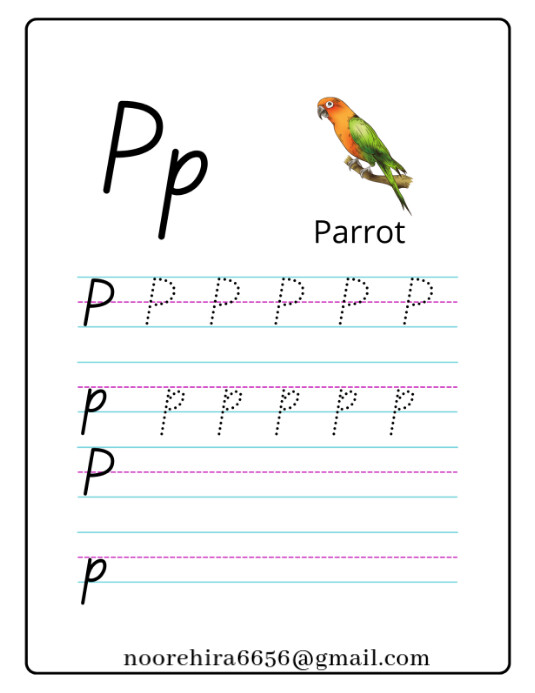 Modèle White Professional Alphabet Tracing Worksheets Flyer (us Letter ...