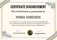 White Professional Certificate For Achievement A2 Template | PosterMyWall