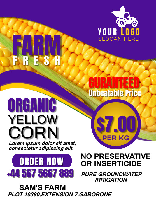 Copy of White Professional Corn Flyer (us Letter) | PosterMyWall