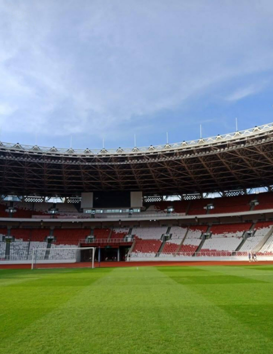 White Professional Modern Soccer Stadium With Open Sky Flyer (us Letter ...