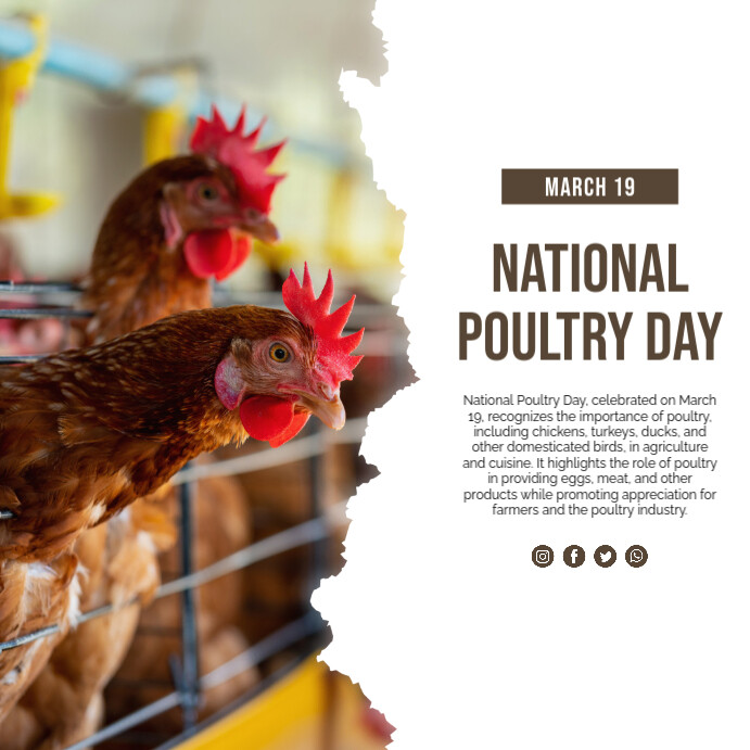 Copy of White Professional National Poultry Day Instagram Post ...