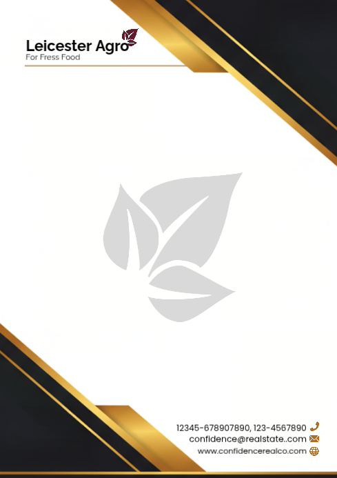 White Professional Real Estate A4 Template | PosterMyWall