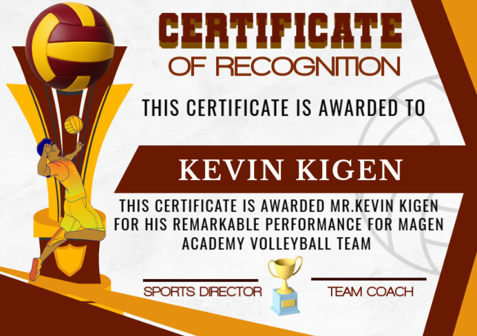 White Professional Volleyball Certificate A4 /Certificate of ...