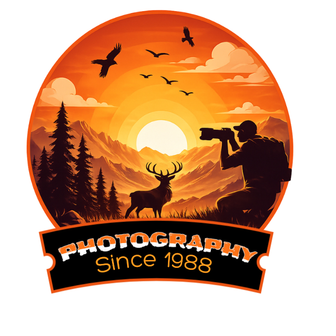 White Photography Logos Template | PosterMyWall