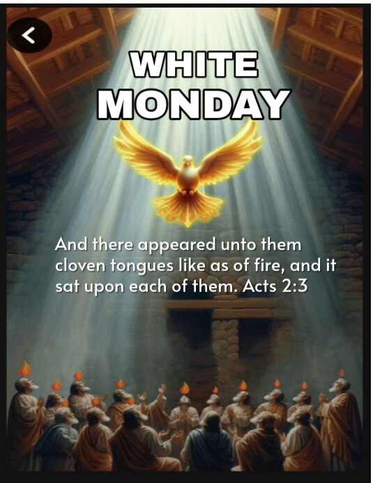 Copy of White White Monday Celebration Poster Design Flyer (us Letter ...