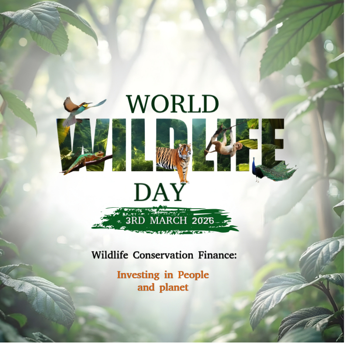 Plantilla de White Wildlife Conservation Instagram Post | PosterMyWall
