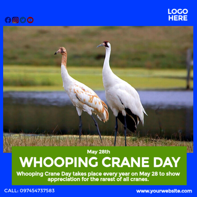 Plantilla de Whooping Crane Day | PosterMyWall