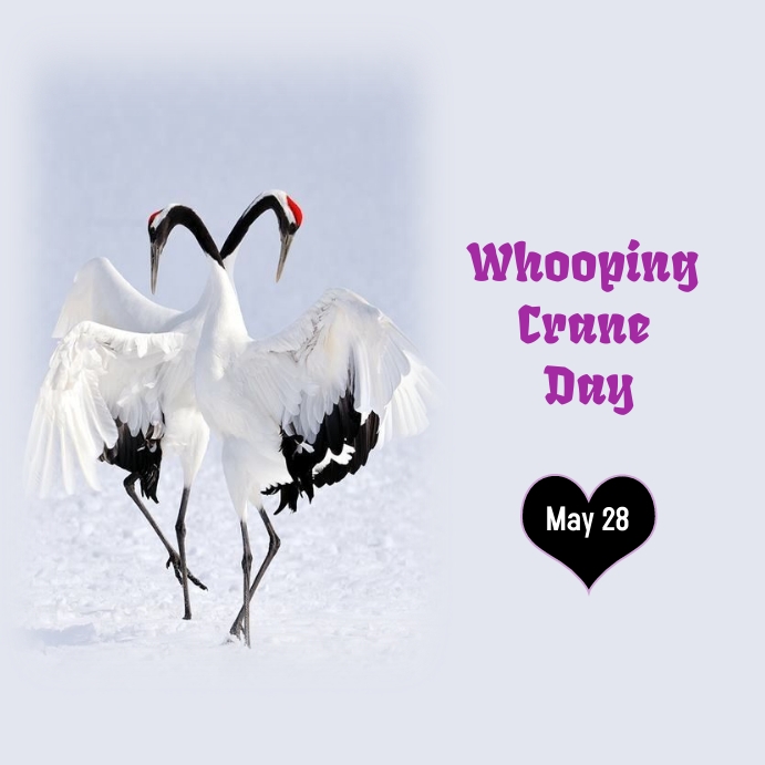 Whooping Crane Day Template | PosterMyWall