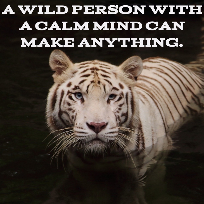 Wild Person Quotes Top 10 Wild Quotes BrainyQuote