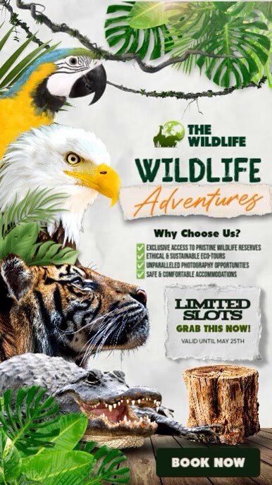 Copy of Wildlife Adventures Poster | PosterMyWall