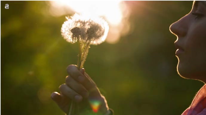 wind Template | PosterMyWall