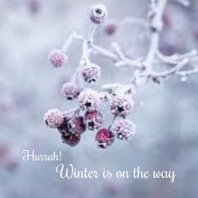 winter instagram post Template | PosterMyWall