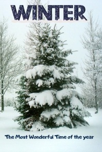 WINTER POSTER Template | PosterMyWall