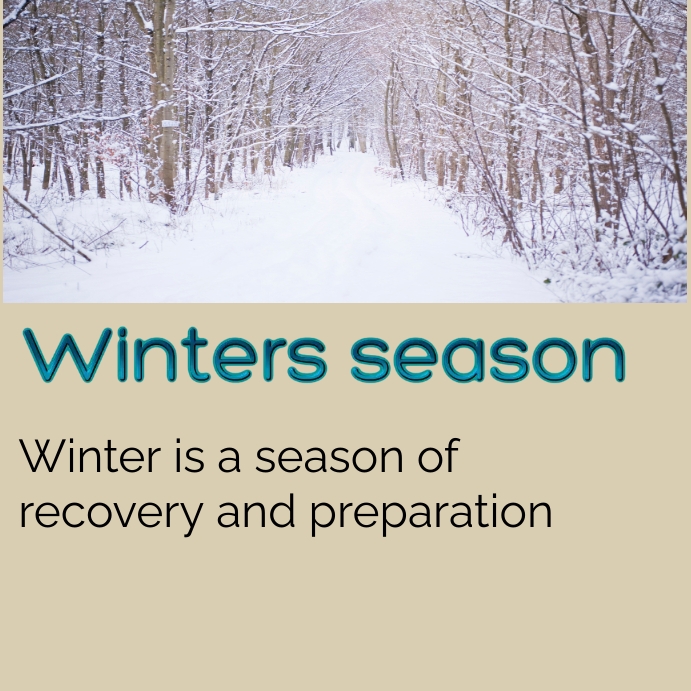 Winter season Template | PosterMyWall