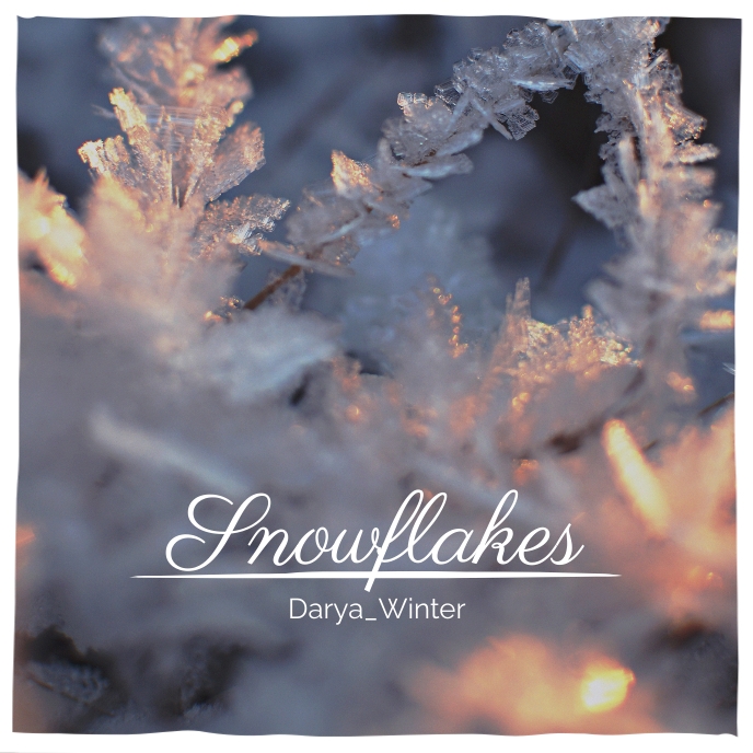 Winter Snow Snowflake Simple CD Cover Music Template | PosterMyWall