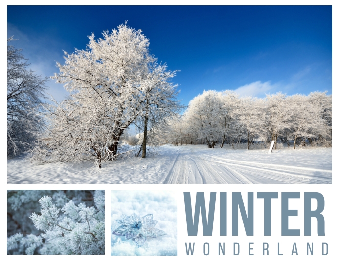 winter wonderland poster Template | PosterMyWall
