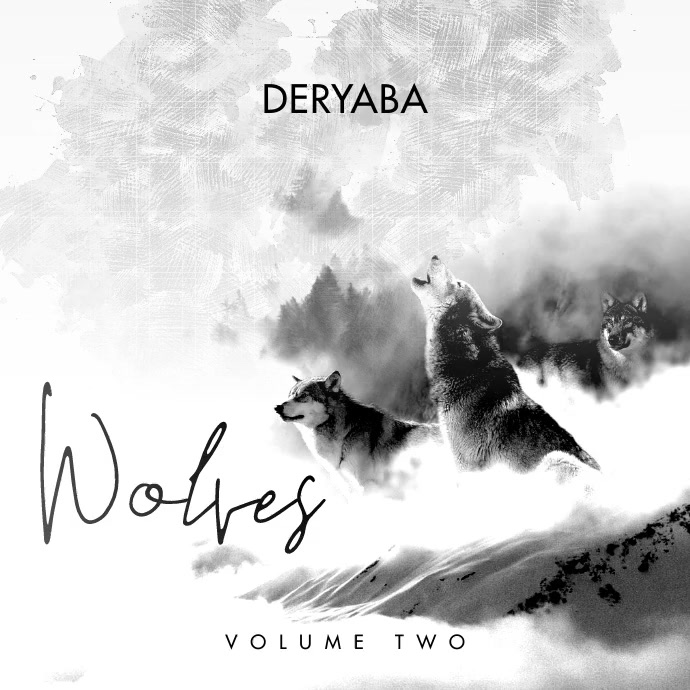 Copy of Wolf Wolves Mixtape Video Album CD Cover | PosterMyWall