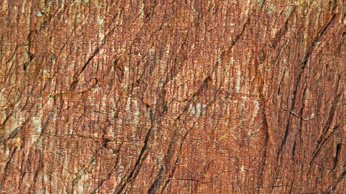 Wood texture Template | PosterMyWall