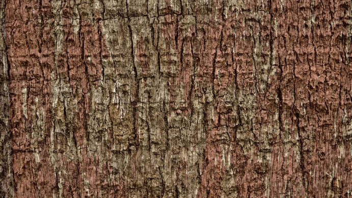 Wood texture Template | PosterMyWall