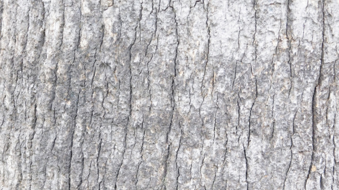 Wood texture Template | PosterMyWall