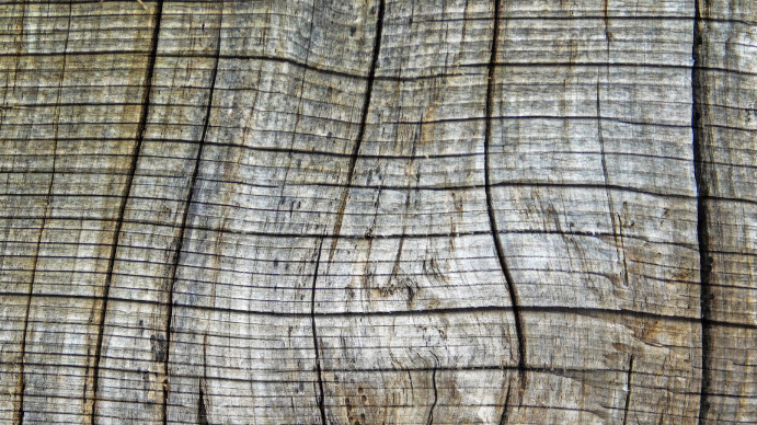 Wood texture Template | PosterMyWall