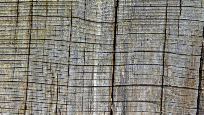 Wood texture Template | PosterMyWall