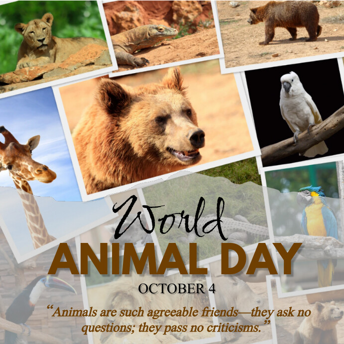 World animal day poster Template | PosterMyWall