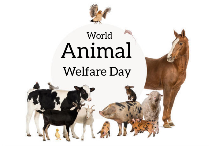 World animal welfare day Template | PosterMyWall