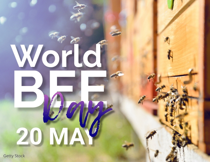 Copy of WORLD BEE DAY 20 MAY | PosterMyWall