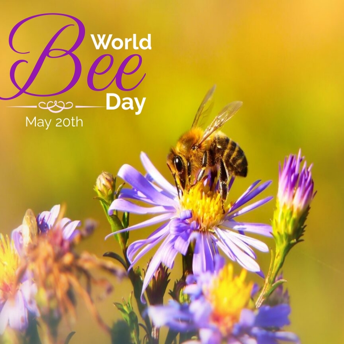 World Bee Day instagram post Template | PosterMyWall