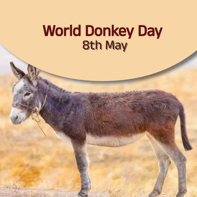 world donkey day เทมเพลต | PosterMyWall