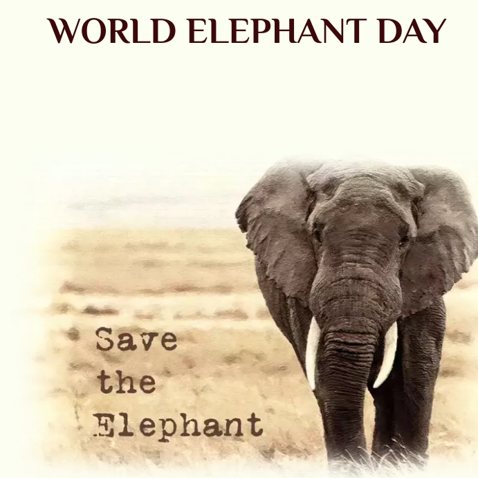 WORLD ELEPHANT DAY Template | PosterMyWall
