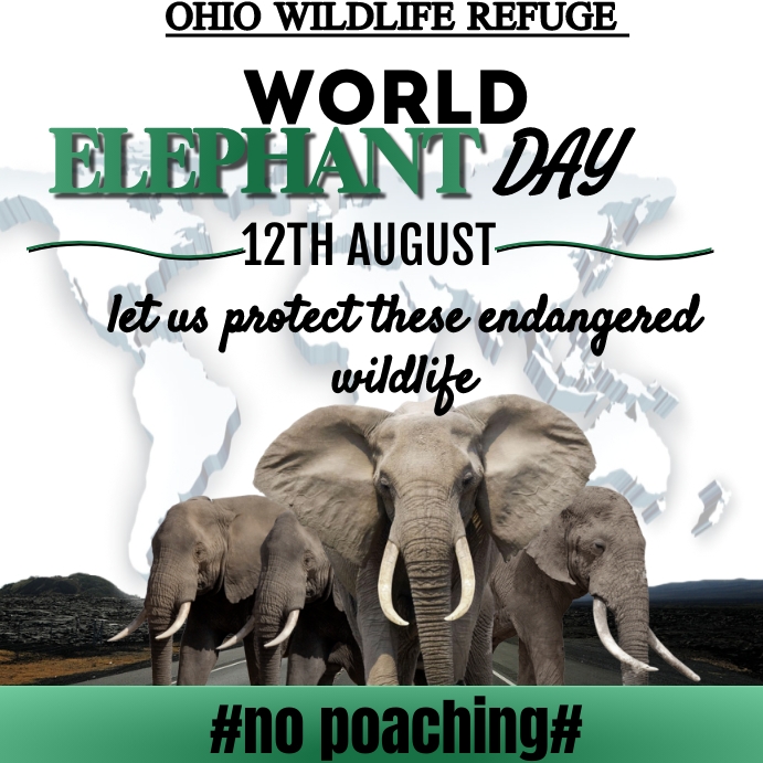 World elephant day Template | PosterMyWall