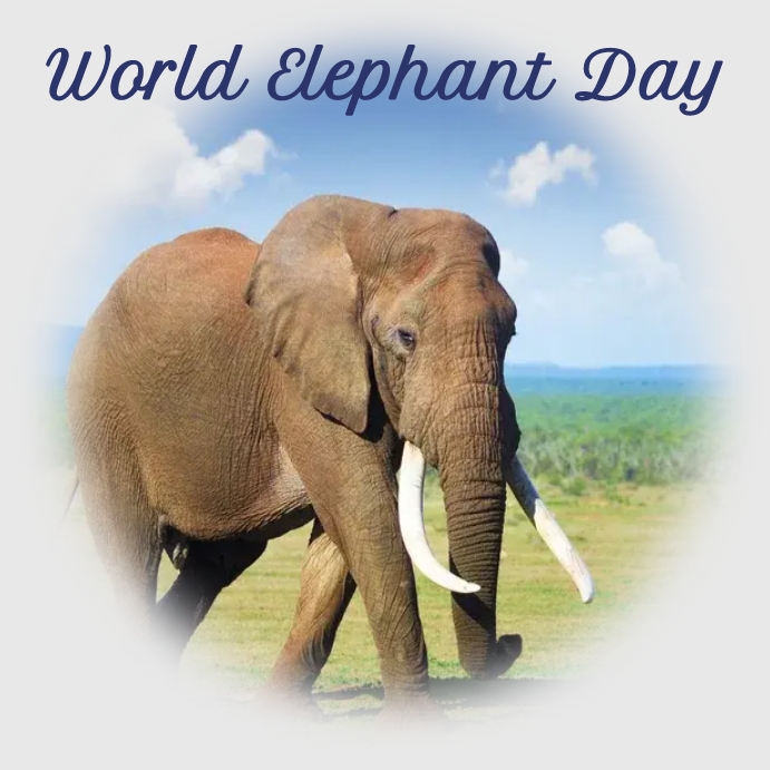 World elephant day Template | PosterMyWall