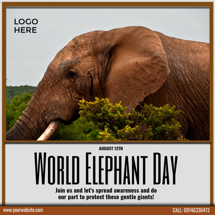 World Elephant Day Template | PosterMyWall