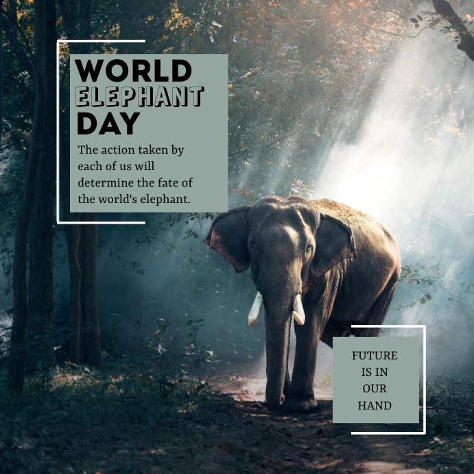 World Elephant Day Template | PosterMyWall