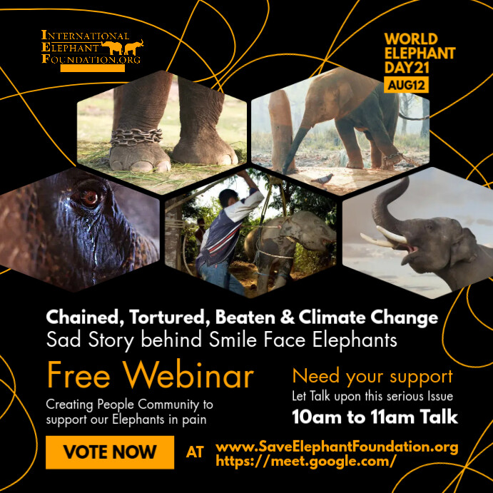 World Elephant Day Webinar Post Template | PosterMyWall