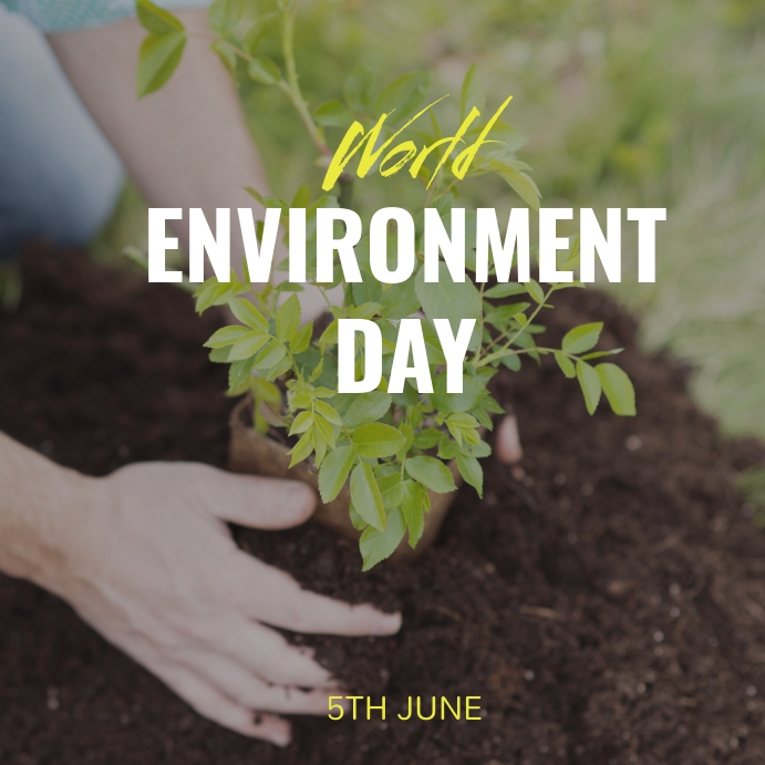 WORLD ENVIRONMENT DAY INSTAGRAM POST Template | PosterMyWall