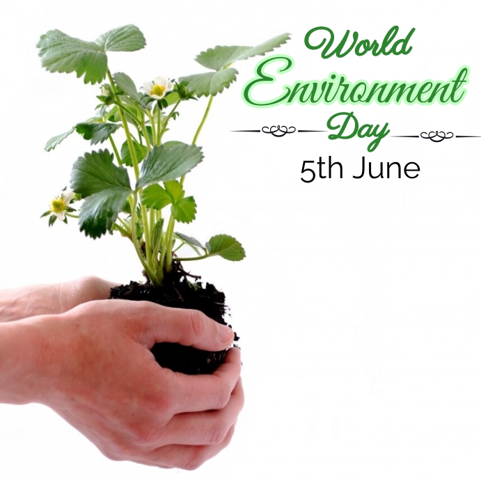 World Environment day instagram post Template | PosterMyWall