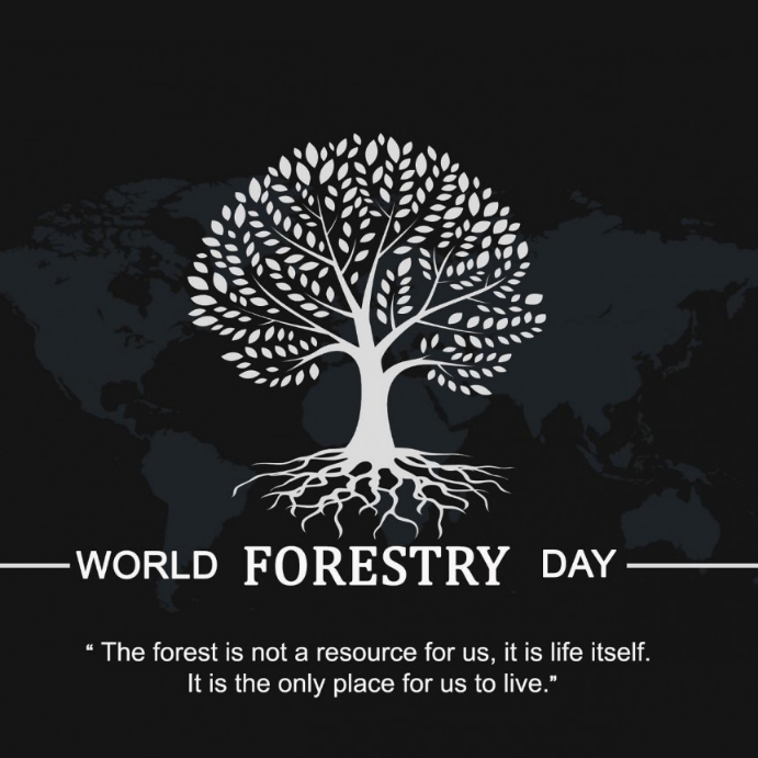 world forest day, forest day Template | PosterMyWall