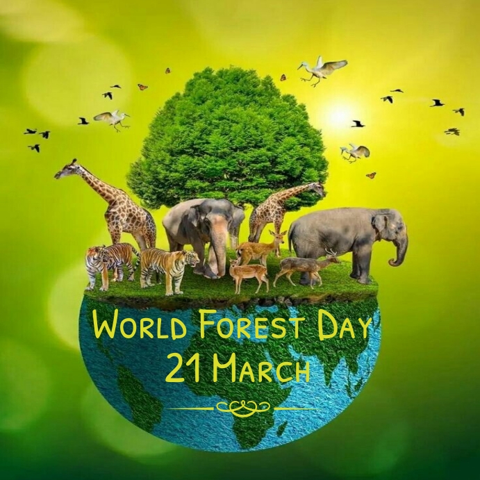 World forest day instagram post Template | PosterMyWall