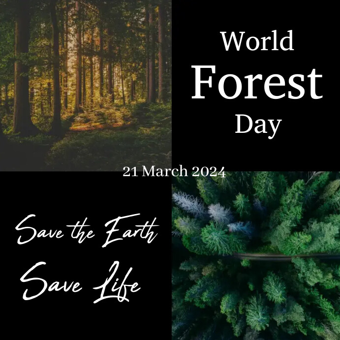 World forest day /Online greeting cards Template | PosterMyWall