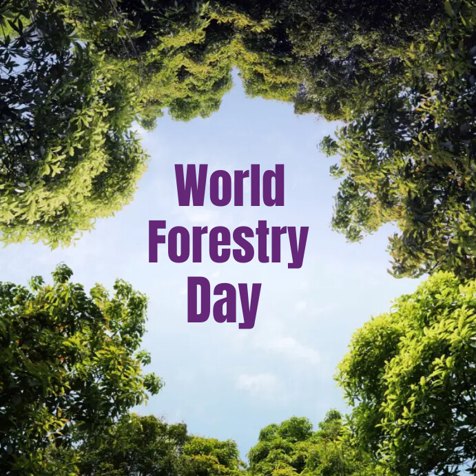 World forestry day Template | PosterMyWall