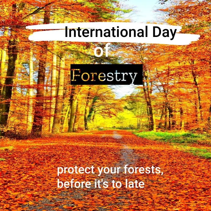 World forestry day Template | PosterMyWall