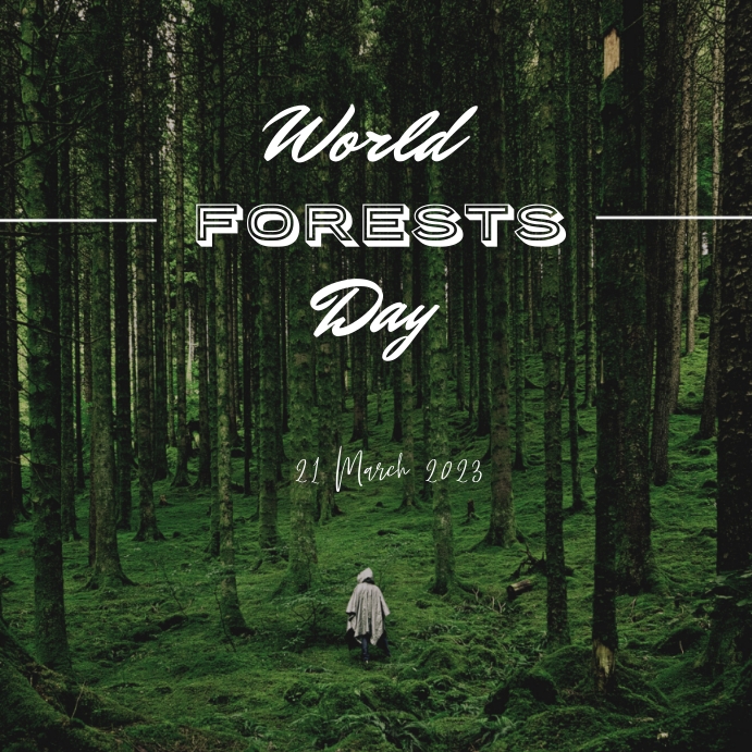 World forests day Template | PosterMyWall