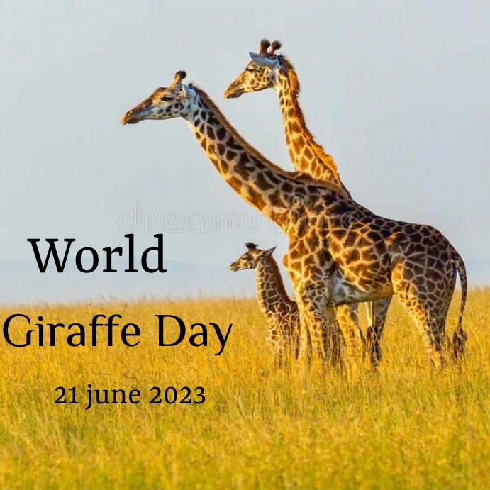 World giraffe day instagram post Templat | PosterMyWall