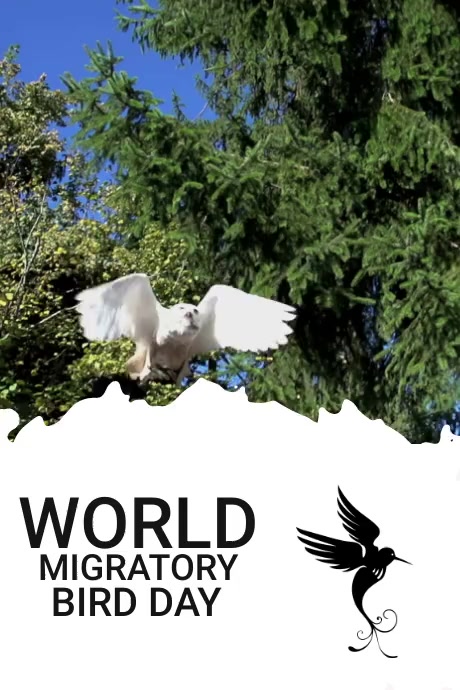WORLD MIGRATORY BIRD DAY Template | PosterMyWall