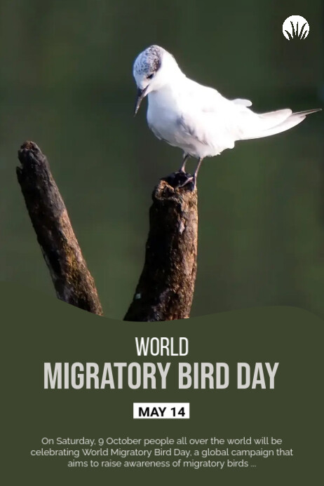 World Migratory Bird Day Poster Template | PosterMyWall
