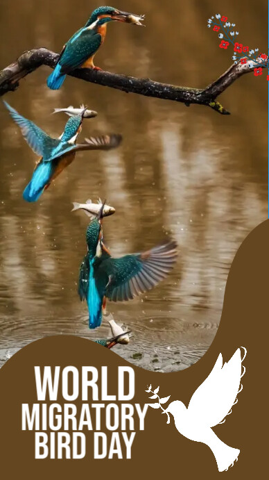 World Migratory Bird Day story Template | PosterMyWall